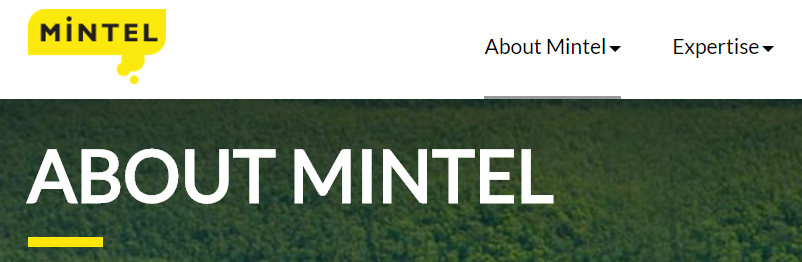 Mintel authentication issues resolved – eResource updates